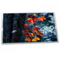 China 23.8 Inch 1920x1080 A-Si TFT LCD Display P238HAN01.0 for Industrial Automation for sale