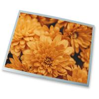 China NL10276AC30-42C 15 Inch Lcd Display Module 1024*768 Lcd Panel for sale