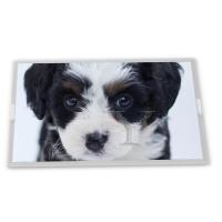 China 10.2 Inch 1024x600 CLAA102NA0DCW LCD Display for Automotive and Industrial Use for sale
