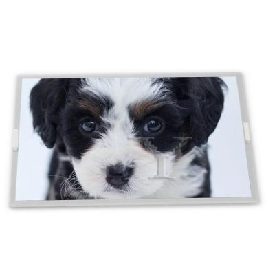 China 10.2 Inch 1024x600 CLAA102NA0DCW LCD Display for Automotive and Industrial Use for sale