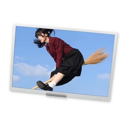 China LD123UX1-SMA1 12.3 Inch 1600x1200 LCD Touch Display Panel 35 Pins MIPI for Tablet for sale