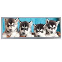 China TX26D25VM2BAA TFT LCD Panel New and Original 10.2 Inch Module Screen 800*256 Resolution for sale