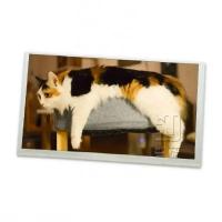 China NL10260BC19-01D TFT LCD Display 8.9-Inch Screen Panel with 1024*600 Resolution for sale