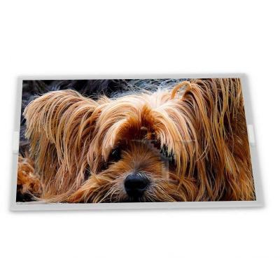 China 32.0 Inch 3840x2160 TFT LCD Panel G320ZAN02.3 for Industrial Display Module for sale