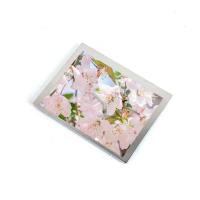 China ET057005DMU 5.7 Inch 640x480 TFT LCD Display Panel Original Industrial Automation for sale