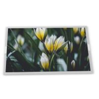 China ODM 15.0 Inch WLED LQ150X1LX95 LCD Display Module 1024x768 Resolution for Industrial Vehicle Use for sale
