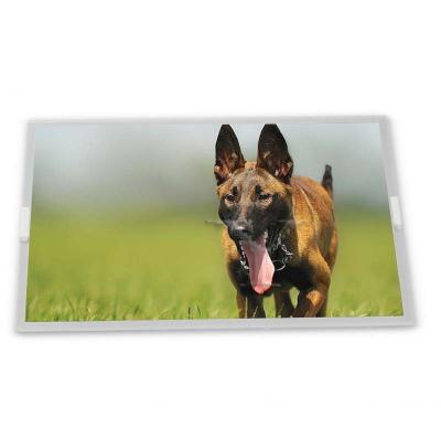 China 21.5 Inch WLED M215HAN01.1 LCD Display Module 1920x1080 Resolution Industrial for sale