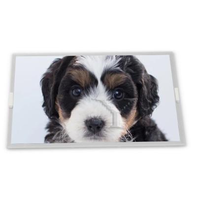 China 17.1 Inch WLED LCD Display Module 1440x900 Resolution ODM LM171WX3-TLC2 for Industrial Automation for sale