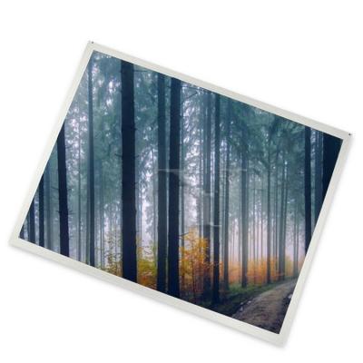 China Customizable 17.3 Inch WLED LCD Display Module 1920x1080 Resolution G173HW01 V0 for Industrial Automation for sale