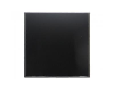 China G170HAN01.0 1920*1920 Resolution Lcd Display Panel 17.0 Inches Lcd Screen Module for sale