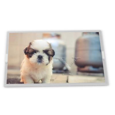 China G156XW01 V4 15.6 Inch TFT LCD Panel 1366x768 eDP 30pin Industrial Display for sale