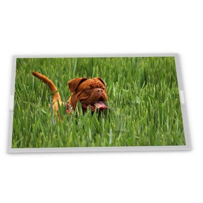 China 10.4 Inch WLED LCD Display Module NL8060AC26-52D 800x600 Resolution Industrial LCD Panel for sale