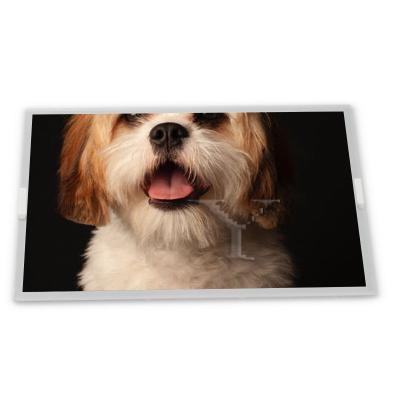 China Stock Compatible 10.4 Inch WLED LCD Display Module 800x600 Resolution Industrial LQ104S1LG76 for sale