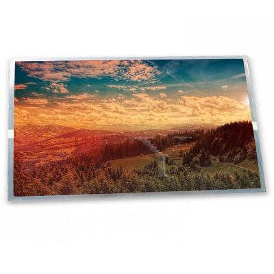 China 12.1 Inch 800x600 TFT LCD Module LM121SS1T53 20 Pin Industrial Display for sale