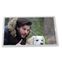 China 12.1 Inch WLED LCD Display Module LQ121S1DG21 800x600 Resolution Industrial LCD Panel for sale