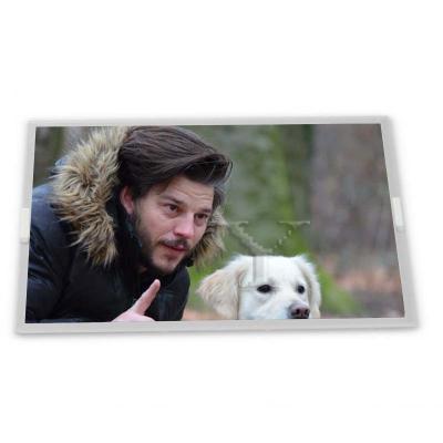 China 12.1 Inch WLED LCD Display Module LQ121S1DG21 800x600 Resolution Industrial LCD Panel for sale