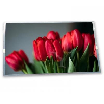 China ODM Custom 12.1 Inch WLED LCD Display Module TM121SDS01 800x600 Resolution for Industrial Automation for sale