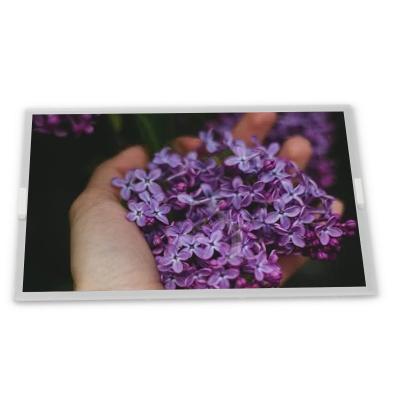China Custom 10.1 Inch WLED LCD Display Module 1024x600 Resolution for Industrial Automation ODM for sale