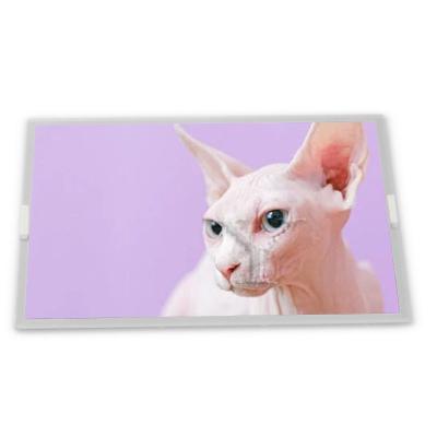 China ODM Custom 12.1 Inch WLED LCD Display Module G121SN01 V403 800x600 Resolution Industrial for sale