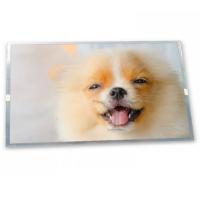 China Custom 10.1 Inch WLED LCD Display Module HSD101PWW1-H00 1280x800 Resolution for Industrial Automation for sale
