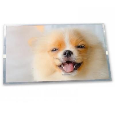 China Custom 10.1 Inch WLED LCD Display Module HSD101PWW1-H00 1280x800 Resolution for Industrial Automation for sale