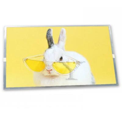 China 10.4 inch 1024x768 a-Si TFT LCD Industrial Control Screen P1040XGF1MB01 Display Module for sale