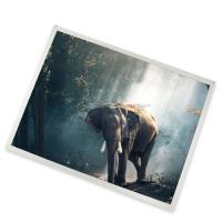 China 5 inch 800x480 a-Si TFT-LCD Display 262K Colors 50% NTSC for Industrial Use for sale