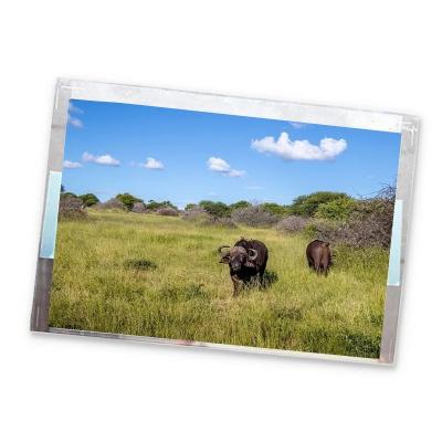 China 9.0 Inch TX23D203VM0BAA LCD Display Panel 800*480 Modules for sale