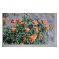 China G070Y2-L01 7 Inch  Display 800*480 Lcd Panel WLED for sale