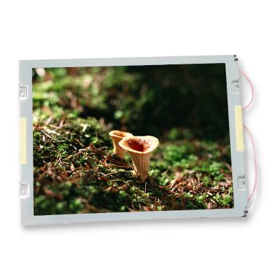 China AA084VC03 8.4 Inch TFT LCD Display 640x480 Resolution CCFL 31 Pins Industrial Screen for sale