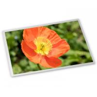 China 8.4 Inch 800x600 TFT LCD Panel TCG084SVLPAANN-AN20 400cd/m2 Luminance WLED for sale