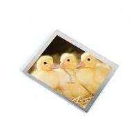 China 8.4 Inch TFT LCD Display 800x600 Resolution T-55712D084J-LW-A-AAN Industrial Panel for sale