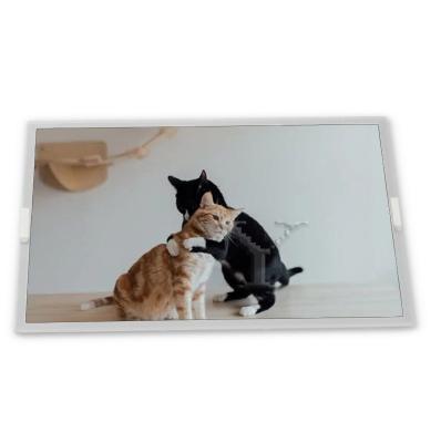 China High Resolution 8.0-Inch stock Compatible WLED LCD Display Module 800*480 ODM TX20D34VM2BPA Modules for sale