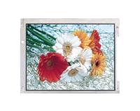 China 12.1'' 800*600 A-Si TFT LCD Panel LTM12C289 High Resolution LCD Modules for sale