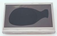 China LAM042G044C 4.2 Inch TFT LCD Panel Screen for Industrial Display Control Panel for sale