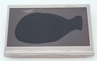 China LAM042G044C 4.2 Inch TFT LCD Panel Screen for Industrial Display Control Panel for sale