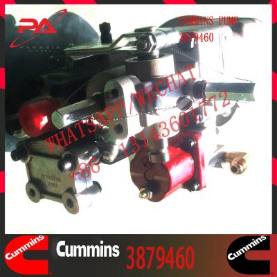 China Cummins Diesel Engine Fuel Pump 3879460 for MTU Fuel System Parts for sale