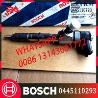 China 0445110293 Diesel Fuel Common Rail Injector for Bosch Great Wall Hover 1112100-E06 for sale