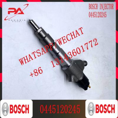 China 0445120245 Bosch Common Rail Diesel Injector for GAZ SADKO 0445120245 for sale