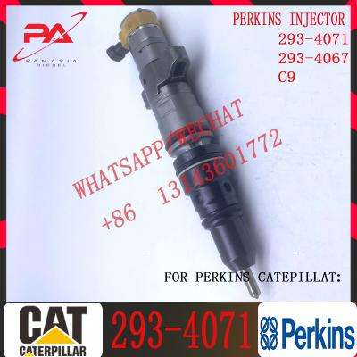 China Diesel Engine Fuel Injector 2934071 293-4071 for CAT Excavator Perkins Application for sale