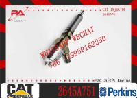 China Denso Common Rail Diesel Fuel Injector Assy 2645A751 2645A746 for C6 Engine for sale