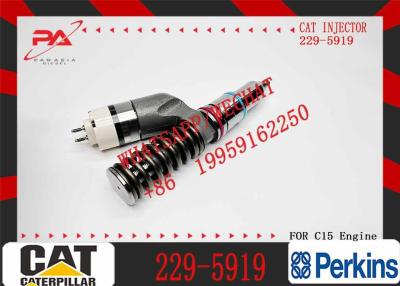 China Common Rail Injector 229-5919 for CAT C15 Diesel Engine High Quality Factory Price for sale