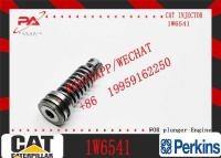 China Fuel Injection Pump Plunger 1W6541 7W5929 Diesel Engine Plunger for Heavy Duty for sale