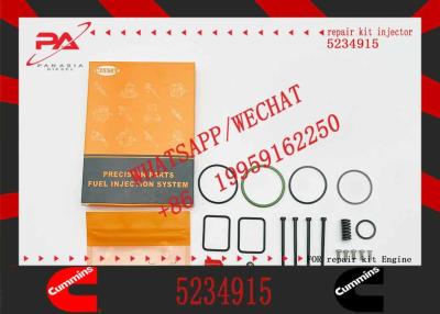 China High Quality Unit Injector Assembly R-5234915 for Detroit Diesel Series 60 12.7L for sale