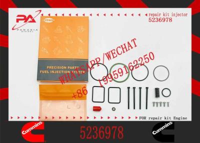 China Diesel Engine S60 Fuel Injector 5235600 5235695 5236980 5236978 5235605 5236347 5235915 5237320 5235550 5237650 for sale