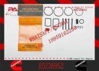 China Diesel Fuel Injector R5235695 R5235915 R5236347 R5236952 R5236977 R5236978 R5236980 For DETROIT S50 S60 DDEC for sale