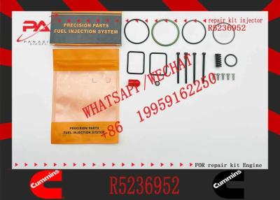 China Diesel Fuel Injector R5235695 R5235915 R5236347 R5236952 R5236977 R5236978 R5236980 For DETROIT S50 S60 DDEC for sale