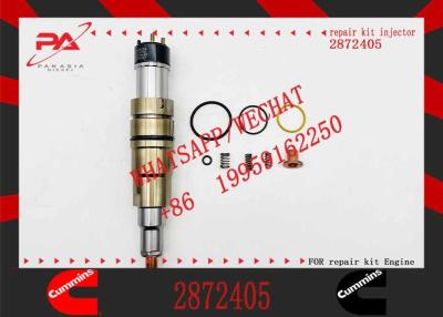 China Cummins ISX15 QSX15 XPI Fuel Injector 5579415 2894920 4327147 2872405 4307217 for sale