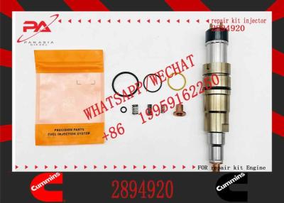 China Factory Wholesale ISX15 QSX15 XPI Injector 5579415 2894920 for Cummins Engine for sale