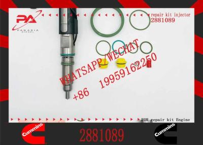 China Diesel Fuel Injector 2881089 for Cummins QSK19 Engine High Quality 24V for sale